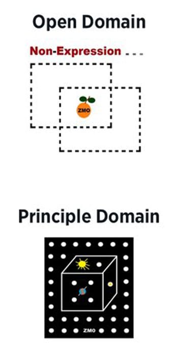 Exhibit Banners - Zim Olson & Zim Mathematics